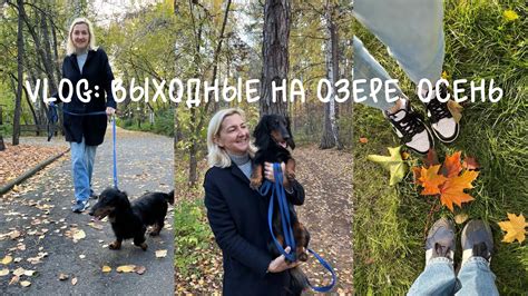Обустраиваем наш дом / Прогулка на озере / Покупки Wildberries - YouTube