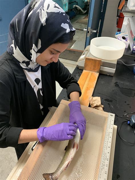 Meet A Retriever—aiman Raza 22 Applied Environmental Researcher In Umbcs Icare Graduate