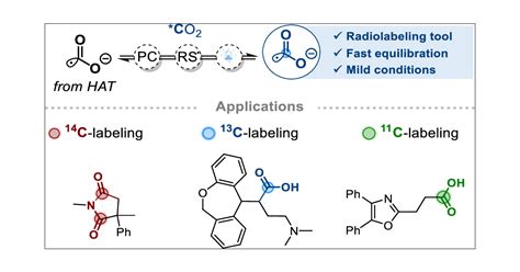 Carbon Dioxide Radical Anion By Photoinduced Equilibration Between Formate Salts And 11c 13c