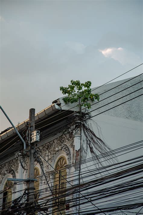 Bangkok Sophie Knight