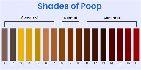 Stool Color Chart For Adults