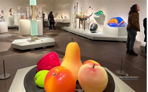 Must See Exhibitions At De Young Museum