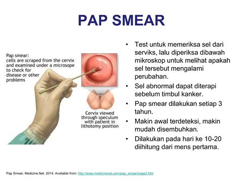 Perubahan Sel Selnormalmenjadikankerpdf