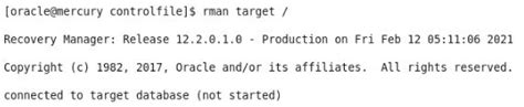 Ora 00210 Cannot Open The Specified Control File Oraclespoc Begin
