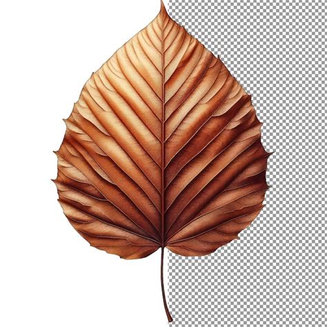 Chromatic Canopy Vibrant Leaf Design On Png Background Premium Ai