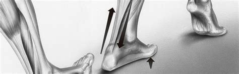 Human Gait Analysis Tekscan