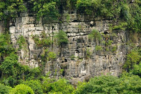 中国阳朔喀斯特山特写