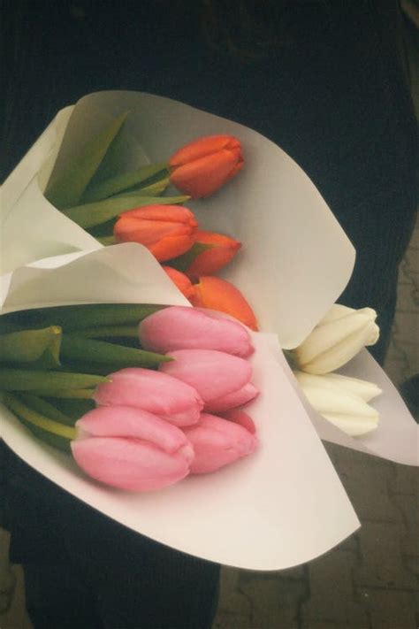 부드러운 조명 속의 다채로운 튤립 꽃다발 · 무료 스톡 사진