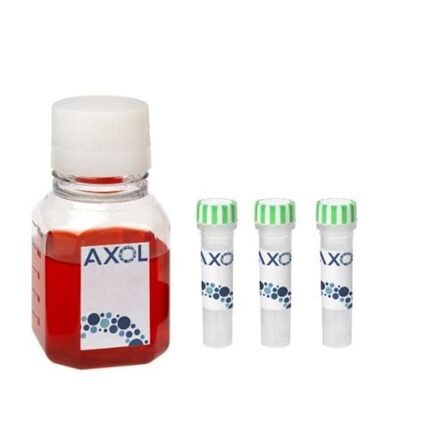 Microglia Maintenance Medium Kit Ax0660 Axol Bioscience