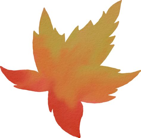 Maple Leaf Watercolour 13529020 Png