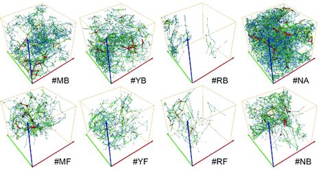 3d Visualization Of Pnm Model Of Soil Samples Color Gradient