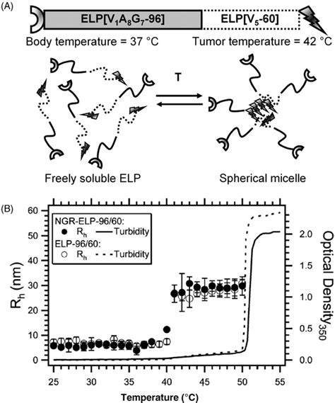 Elastin Like Polypeptide Block Copolymers Affinity Modulated Switches Download Scientific