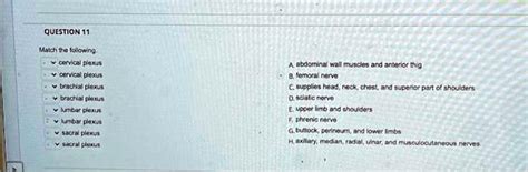 QUESTION 11 Match The Following Cervical Plexus Cervical Plexus Brachial Plexus Brachial Plexus