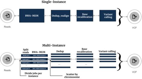 Sentieon Multi Instance Whole Genome Workflow Seven Bridges