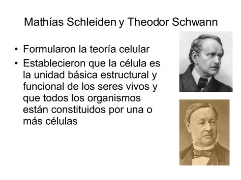 Teoria Celular Ppt Biological Sciences Science