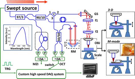 Schematic Diagram Of The High Speed Swept Source Oct System Blue Download Scientific Diagram