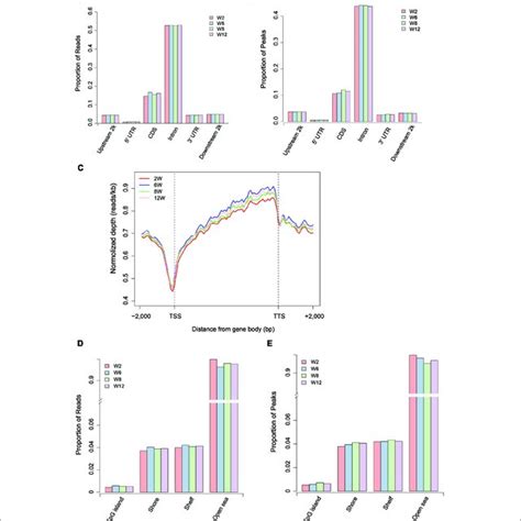 Distribution Of Unique Mapped Reads And Peaks In Different Genomic