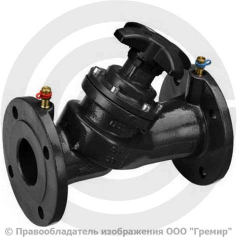 Клапан балансировочный фланцевый Ду 65 Ру 16 с измерительными ниппелями Mnf R Ридан купить в