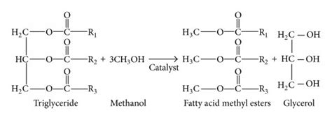 Transesterification Reaction To Obtain Biodiesel Download Scientific