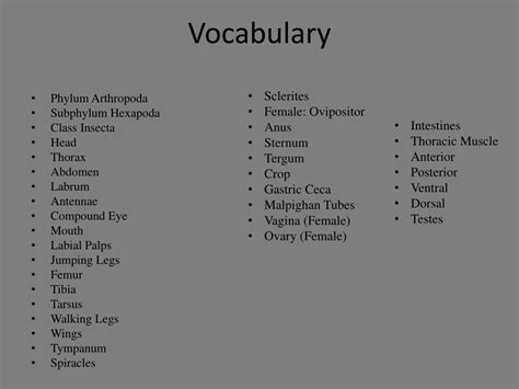 Ppt Phylum Arthropoda Subphylum Hexapoda Class Insecta Powerpoint
