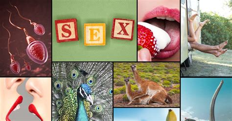22 Ways To Show Sex Without Actually Showing It