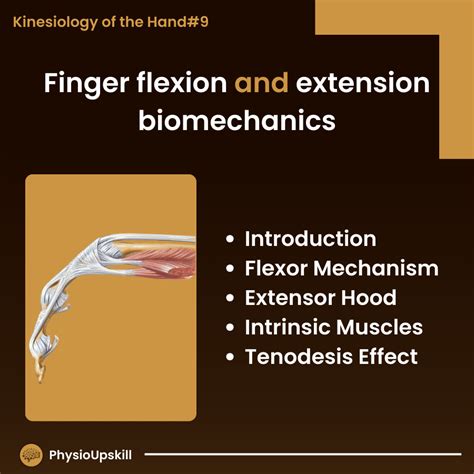 Episode115 Kinesiology Of The Hand 9 Physioupskill