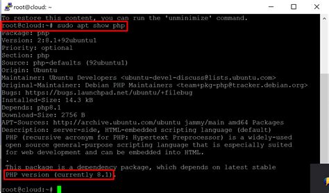 Установка PHP на Ubuntu 22 04 Пошаговое руководство Virtirio