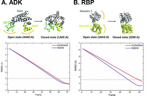 Conformational Transition From Open To Closed States Of A Adk And B