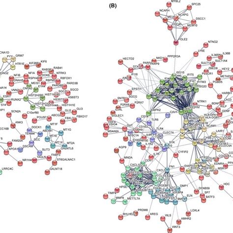 Degs Ppi Networks A Ppi Network Showing The Up‐regulated Degs From
