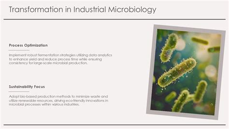 Transformation Microbiology Ppt Sample Acp Ppt Slide