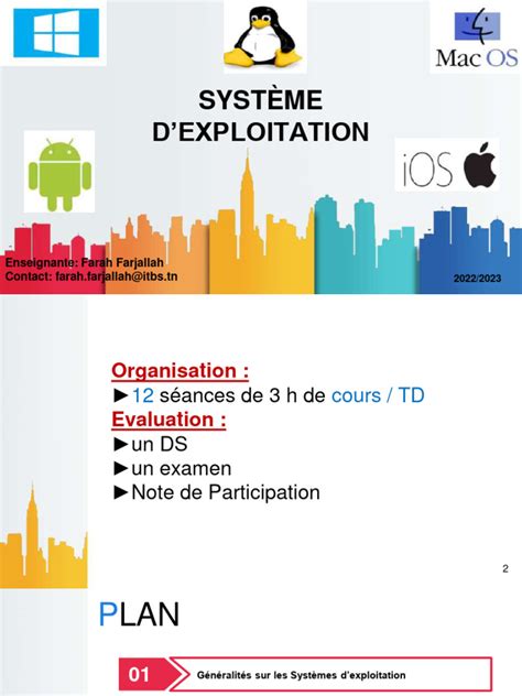Exploitation System Pdf