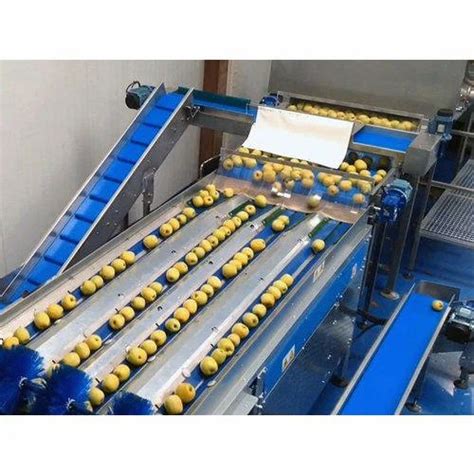 Semi Automatic Mango Grading Machine 5 Tonhour At ₹ 1000000 In Faridabad