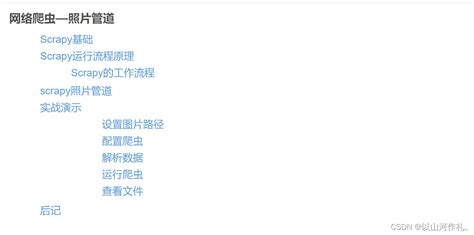 从入门到精通：网络爬虫开发实战总结 网络爬虫实战 csdn博客