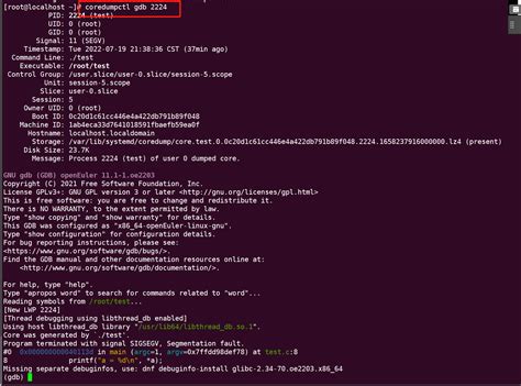 Openeuler 使用coredumpctl调试进程coreopeneuler Coredump Csdn博客