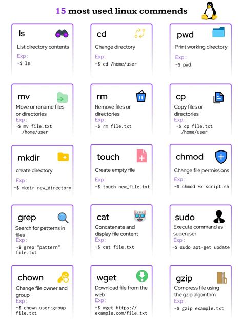 boost your linux skills with these 15 commands mohamed amine hamdi