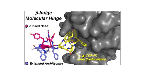 De Novo Synthesis And Structural Elucidation Of Cdr H3 Loop Mimics