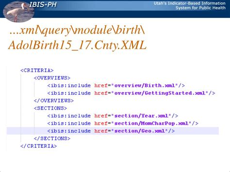 ppt developing an ibis q query module powerpoint presentation free