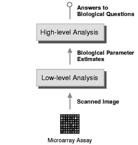 the relationship between low level and high level microarray analysis