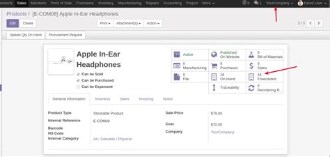 100 Forecasted Stock Report Is Not Multi Company Compliant · Issue