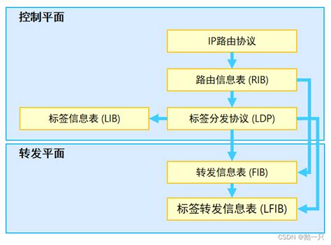 2022 12 05 网工进阶（三十七）mpls 基本概念、转发过程、基本配置、配置静态lsrmpls协议 Csdn博客