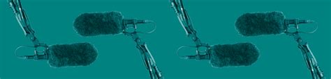 J Var 1022 Ecr Hub Webbanner Voice Iopscience Publishing Support