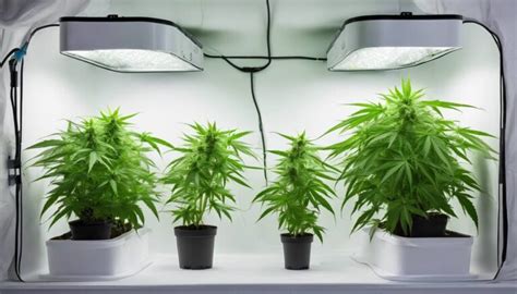 Hydroponic Plants Bitponics