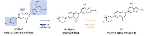 Metabolism Of Cyclopropyl Groups Hypha Discovery Blogs