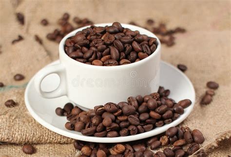 Variety Of Roasted Arabica And Robusta Coffee Beans From Indonesia