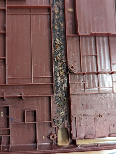 Doing A Shell Swap On A Dsi Xl Never Seen Bugs Like This In Anything