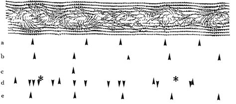 Comparison Of Detection Point From Different Methods A Wavelets Sect Download Scientific