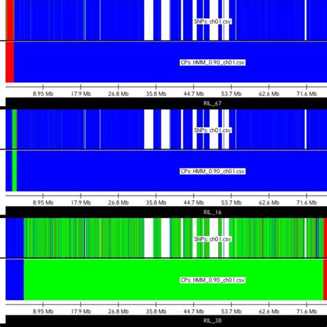 Visual Evaluation Of Recombination Breakpoint Calculation By Snpbinner Download Scientific