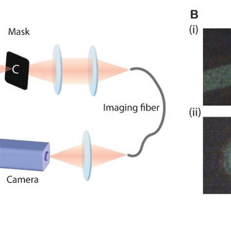 Fiber Bundle Imaging A A Schematic Of The Experimental Setup For Download Scientific Diagram