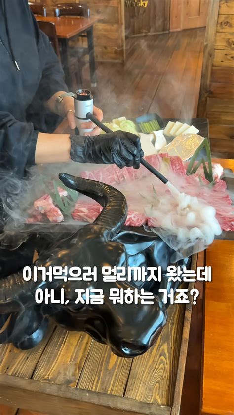 카페 어디까지 가봤니 뭘 생각하든 상상 그 이상 광고 서울 근교 드라이브 주말 나들이 코스로 인기 많은 곳으로 쥬라기 공원까지 오픈해 더 신나게 놀 수 있는 대형