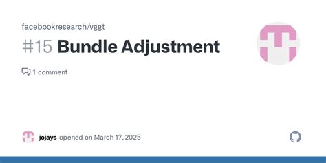 Bundle Adjustment Issue Facebookresearch Vggt GitHub